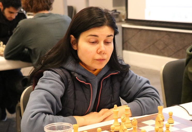 Four Nations Chess League